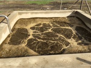 Compost Tea Systems - Ecosoil
