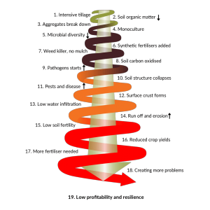 The Process of Soil Degradation - Ecosoil