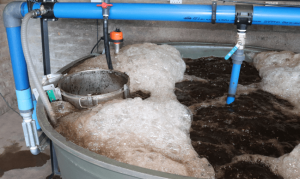 Biological Products - Ecosoil