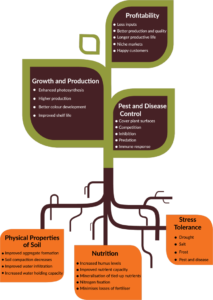 Save your soil, Secure your livelihood - Ecosoil