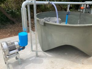 Compost Tea Systems - Ecosoil